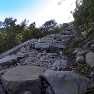 Harkerville Coastal Hiking Trail – Garden Route Adventure Guide