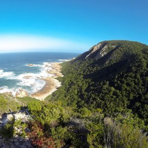 Harkerville Coastal Hiking Trail – Garden Route Adventure Guide
