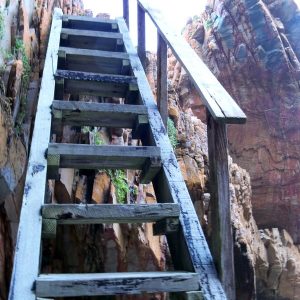 Harkerville Coastal Hiking Trail – Garden Route Adventure Guide