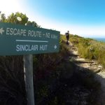 Harkerville Coastal Hiking Trail – Garden Route Adventure Guide