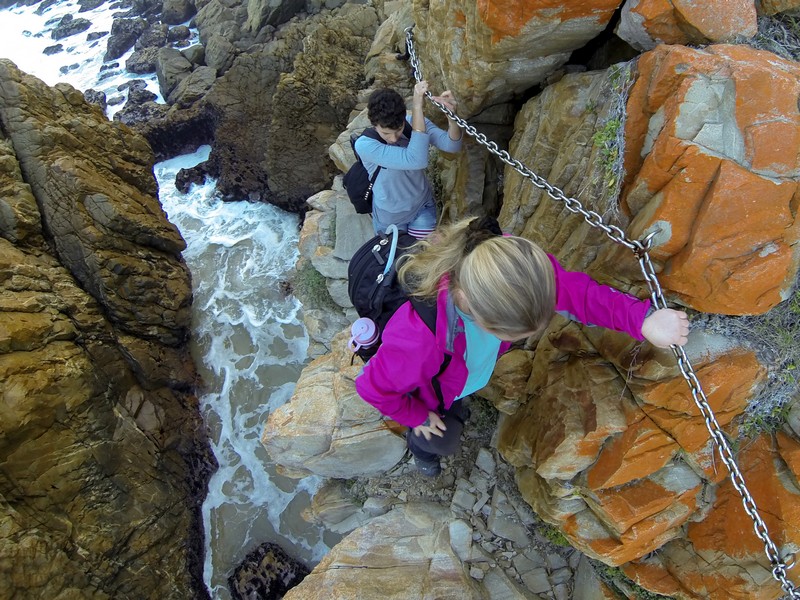 Harkerville Coastal Hiking Trail – Garden Route Adventure Guide