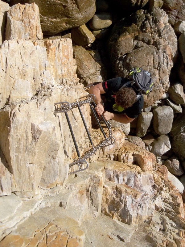 Harkerville Coastal Hiking Trail – Garden Route Adventure Guide