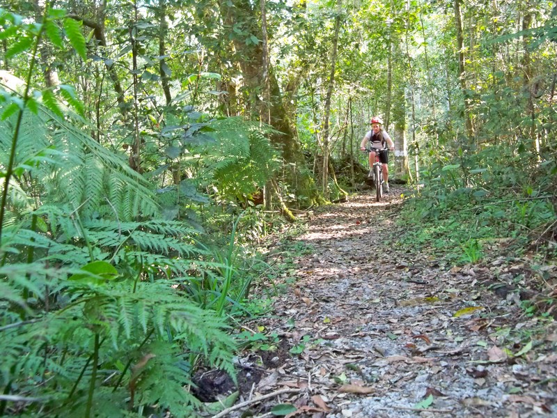 Harkerville Mountain Bike Trails – Garden Route Adventure Guide