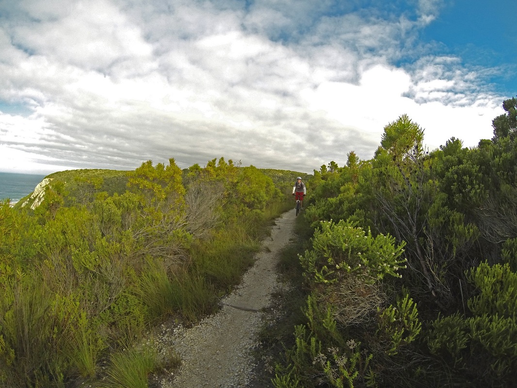 Harkerville Mountain Bike Trails – Garden Route Adventure Guide