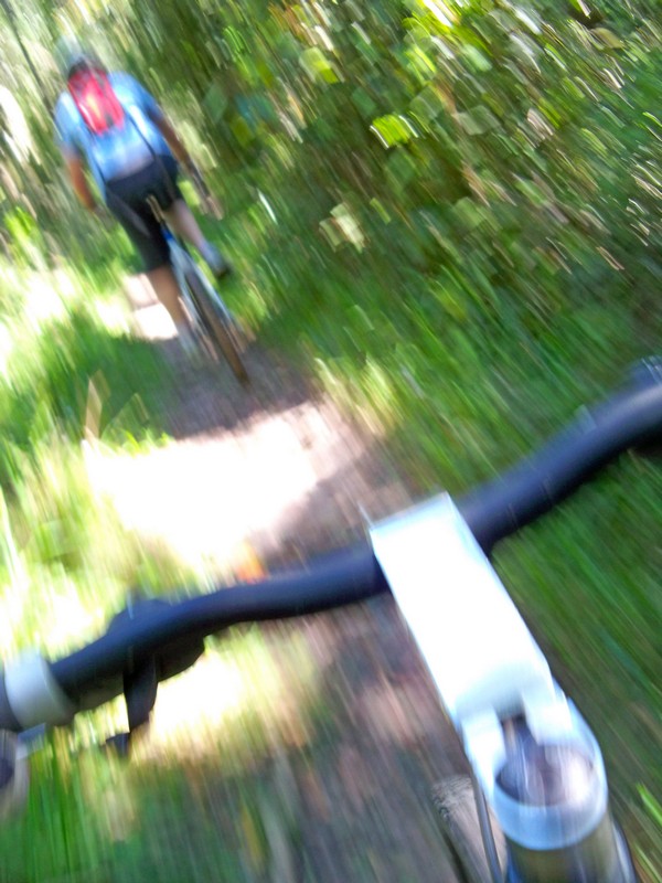 Harkerville Mountain Bike Trails – Garden Route Adventure Guide