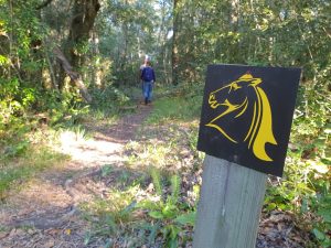 Perdekop Hiking Trail – Garden Route Adventure Guide