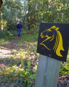 Perdekop Hiking Trail – Garden Route Adventure Guide