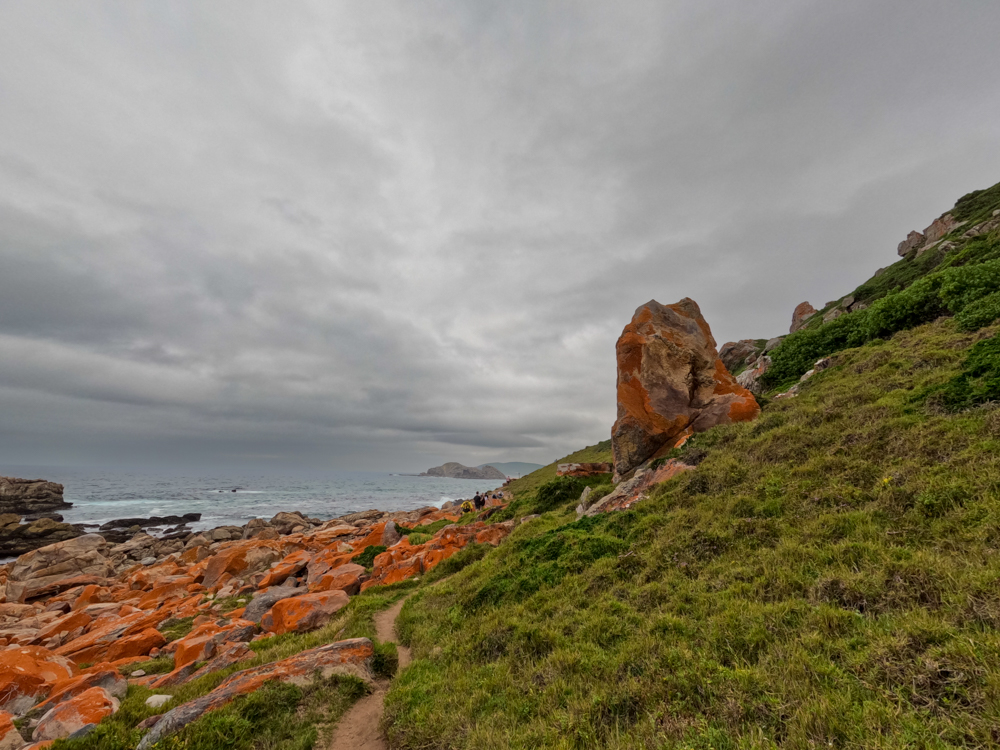 Robberg Hiking Trail – Garden Route Adventure Guide