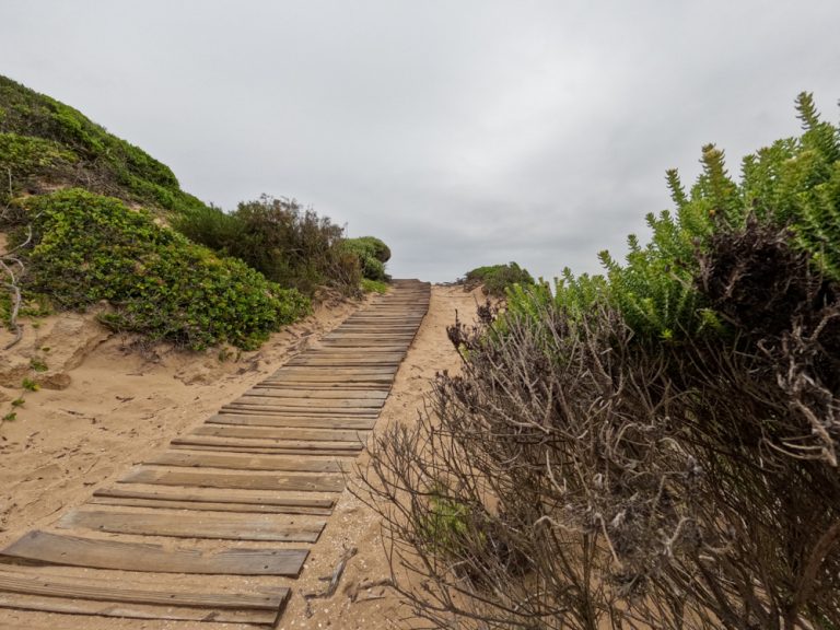 Robberg Hiking Trail – Garden Route Adventure Guide