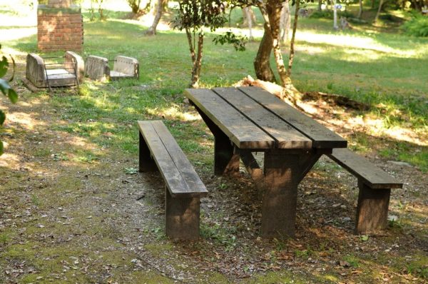 Jubilee Creek Picnic Site – Garden Route Adventure Guide