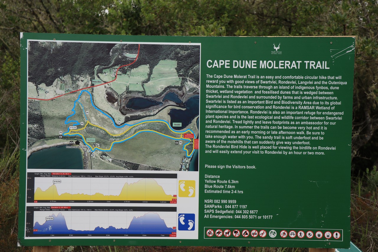 Cape Dune Molerat Trail – Garden Route Adventure Guide